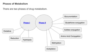 Drug metabolism | PPTX