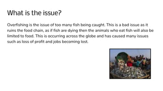 What is overfishing? | PPTX