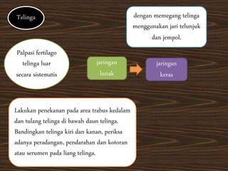 pemeriksaan fisik | PPTX