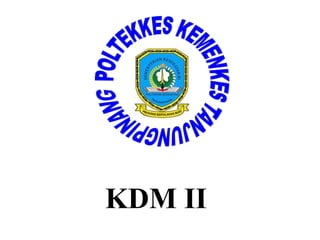 Pemberian Obat Topical KDM II By pangestu chaesar | PPT