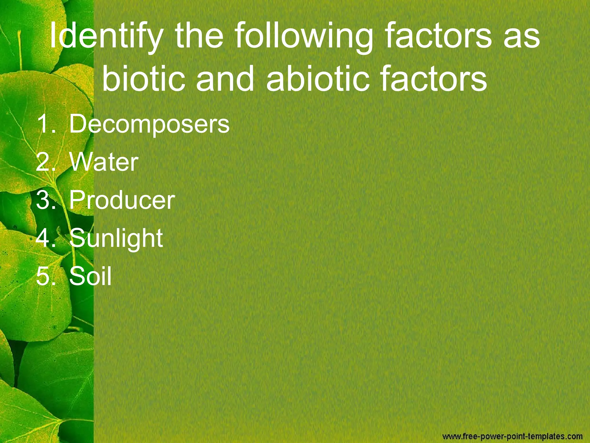 Levels of Ecological Organization_ SCIENCE | PPT