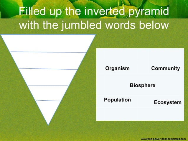 Levels of Ecological Organization_ SCIENCE | PPT