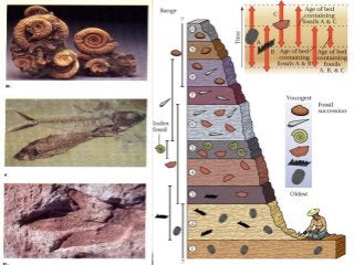 Historical geology | PPT