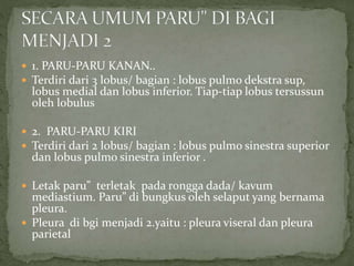 KONSEP DASAR PRAKTIK KEBIDANAN (anatomi pernapasan) | PPTX