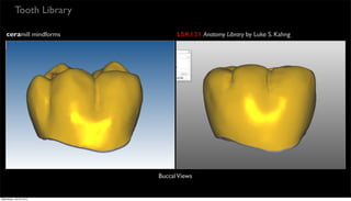 LSK121 Oral Prosthetics CAD Tooth Library | PDF