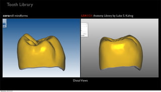 LSK121 Oral Prosthetics CAD Tooth Library | PDF