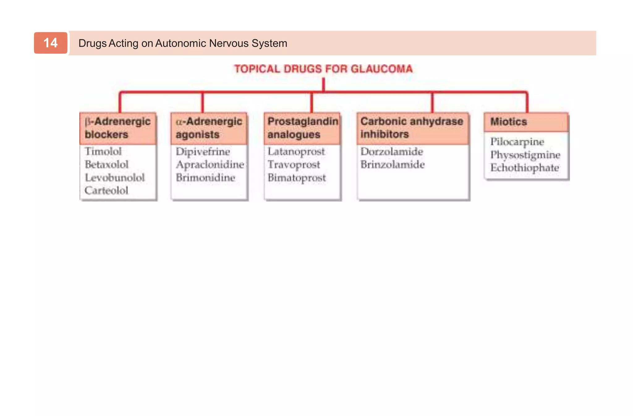 KD Tripathi Classification of Drugs.pptx