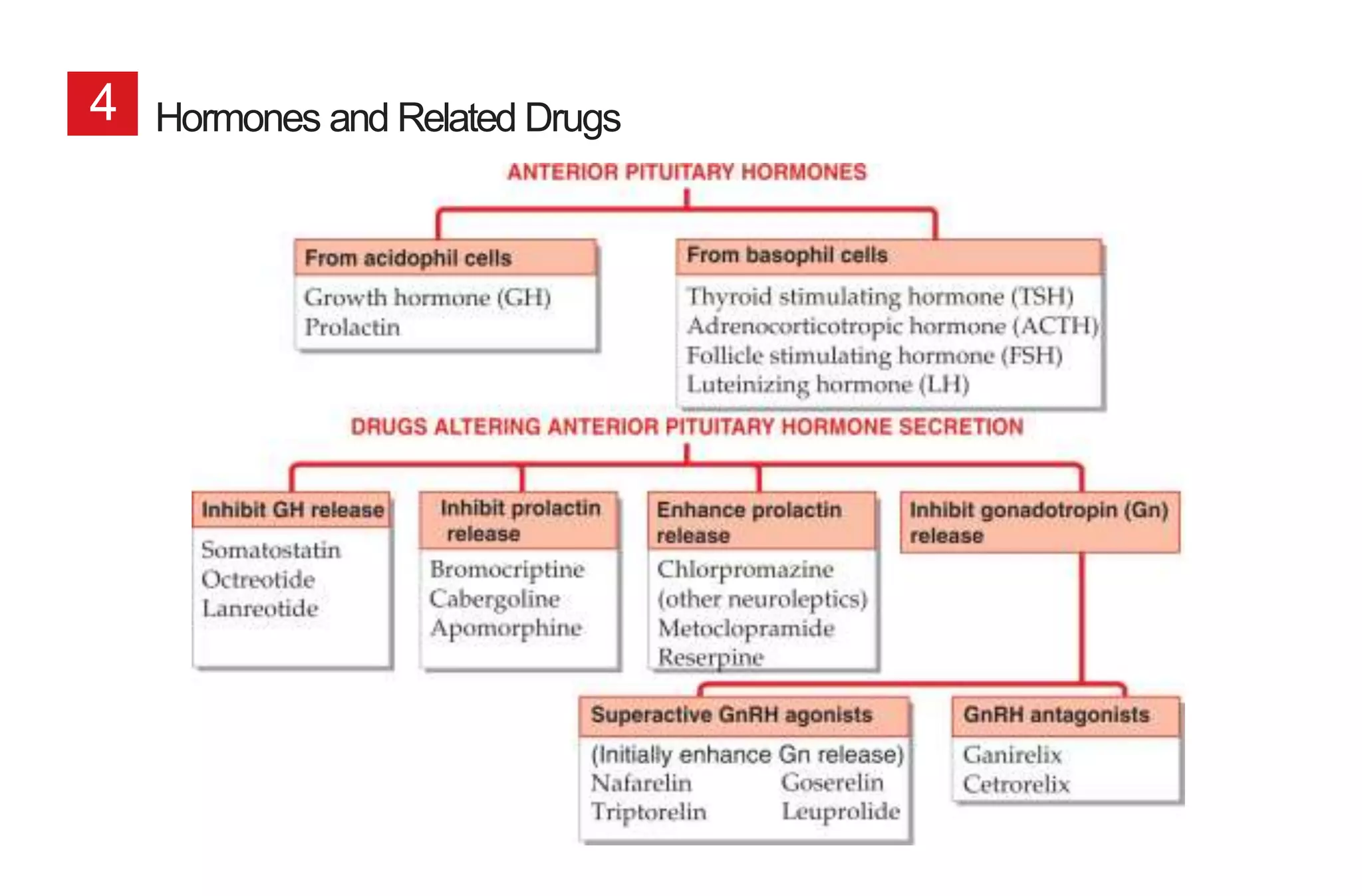 KD Tripathi Classification of Drugs.pptx