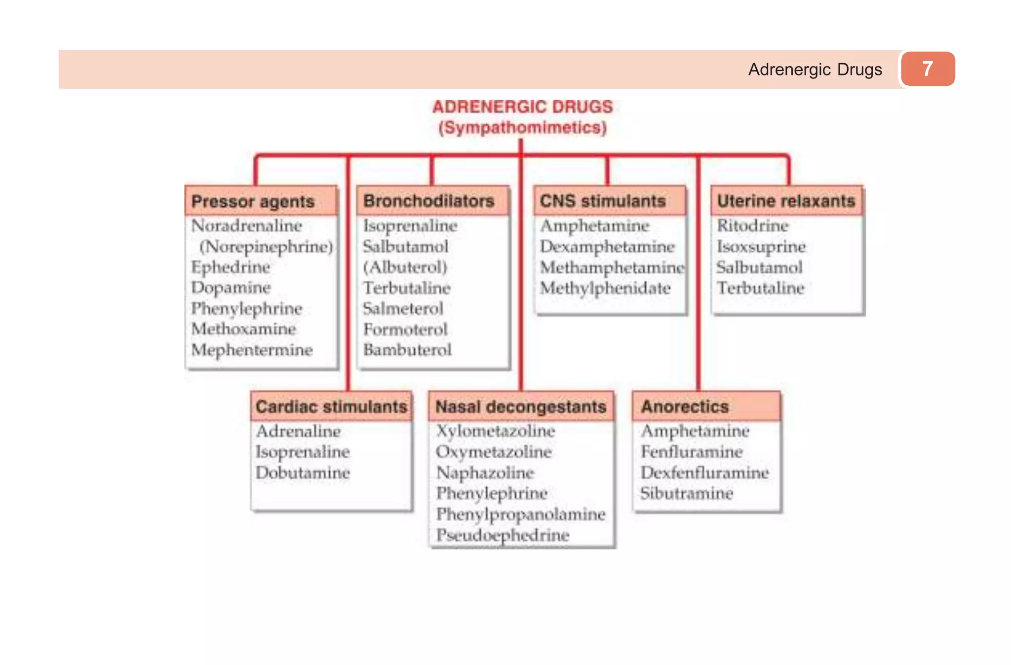 KD Tripathi Classification of Drugs.pptx