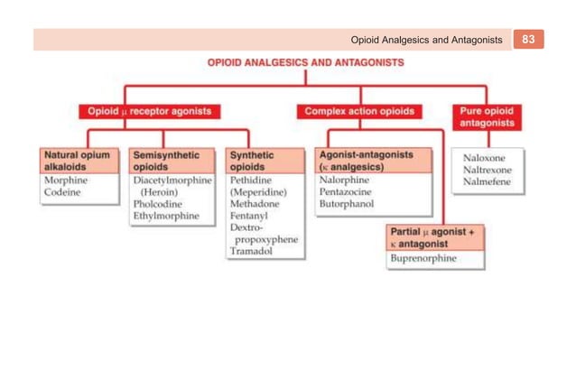 KD Tripathi Classification of Drugs.pptx