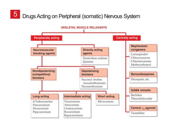 KD Tripathi Classification of Drugs.pptx
