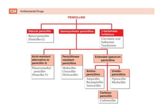 KD Tripathi Classification of Drugs.pptx