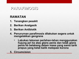 KEABNORMALAN KONGENITAL - fimosis parafimosis epispadis epospadis dan ...