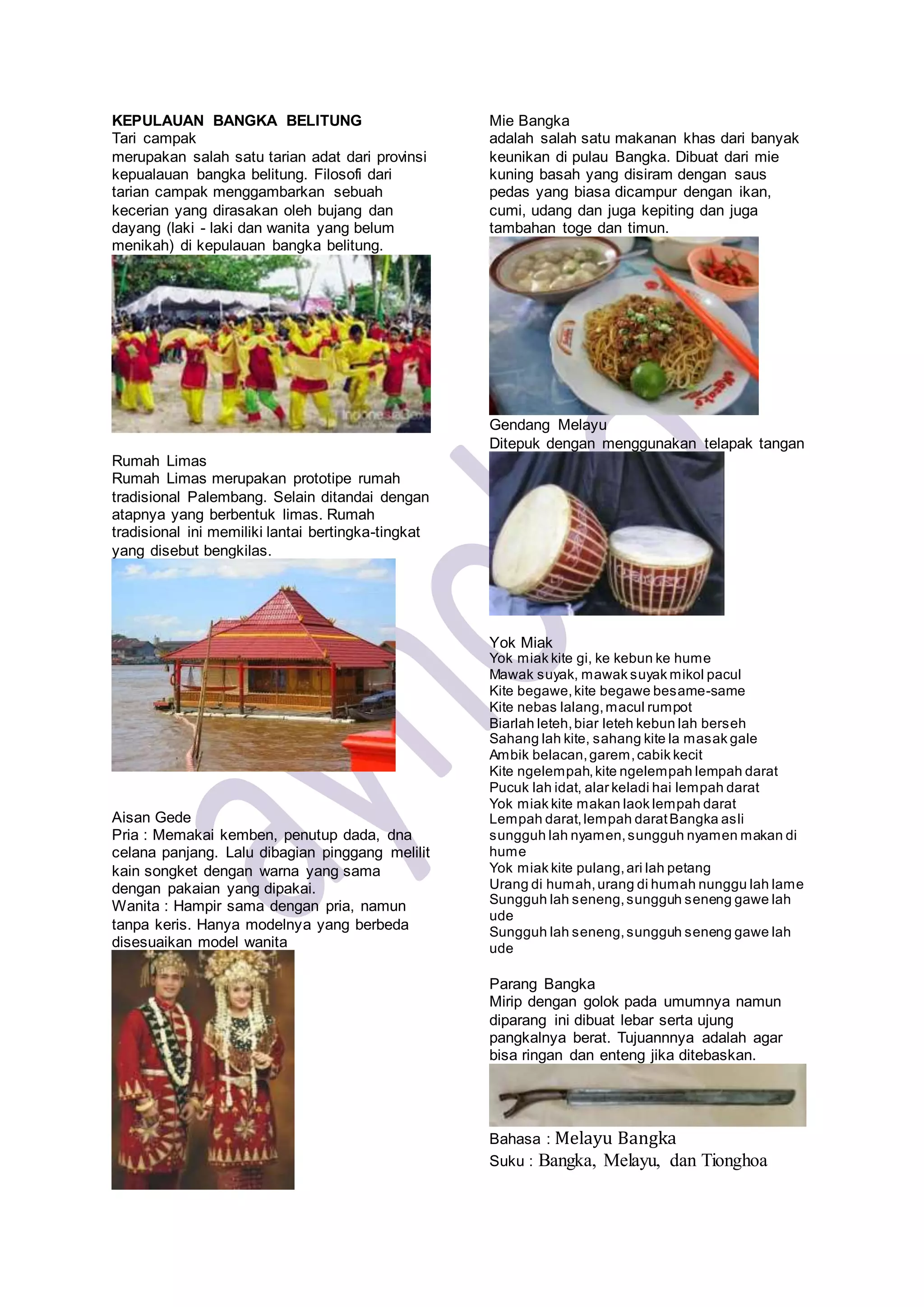 Keanekaragaman KERAGAMAN BUDAYA INDONESIA 34 PROVINSI DAN GAMBARNYA | DOCX