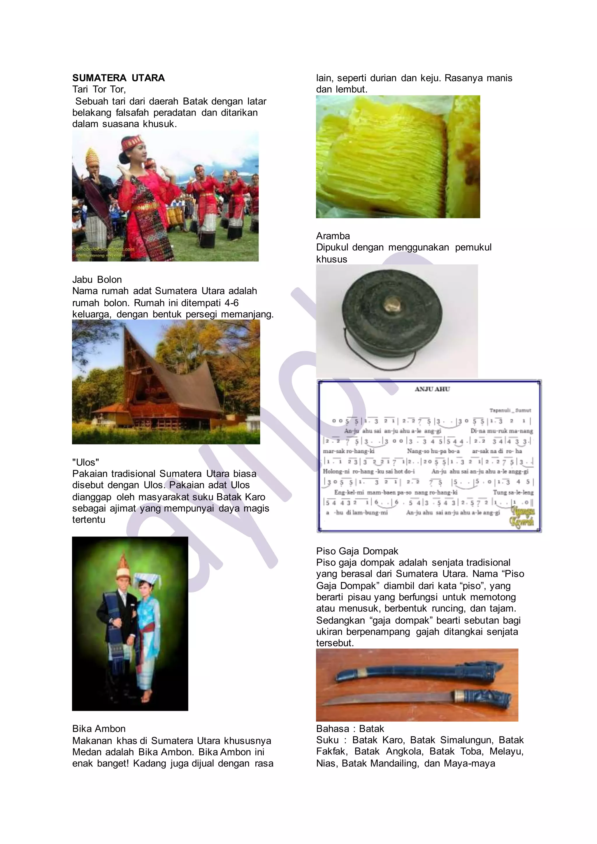 Keanekaragaman KERAGAMAN BUDAYA INDONESIA 34 PROVINSI DAN GAMBARNYA | DOCX