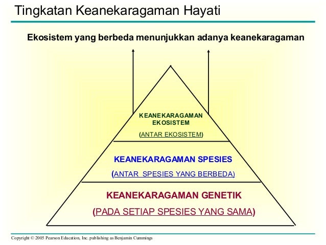 Keanekaragaman hayati