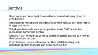 KEANEKARAGAMAN BAHAN BIOTA LAUT.pptx