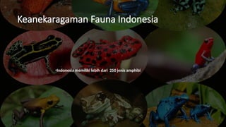 PPT- Keanekaragaman fauna Indonesia.pptx