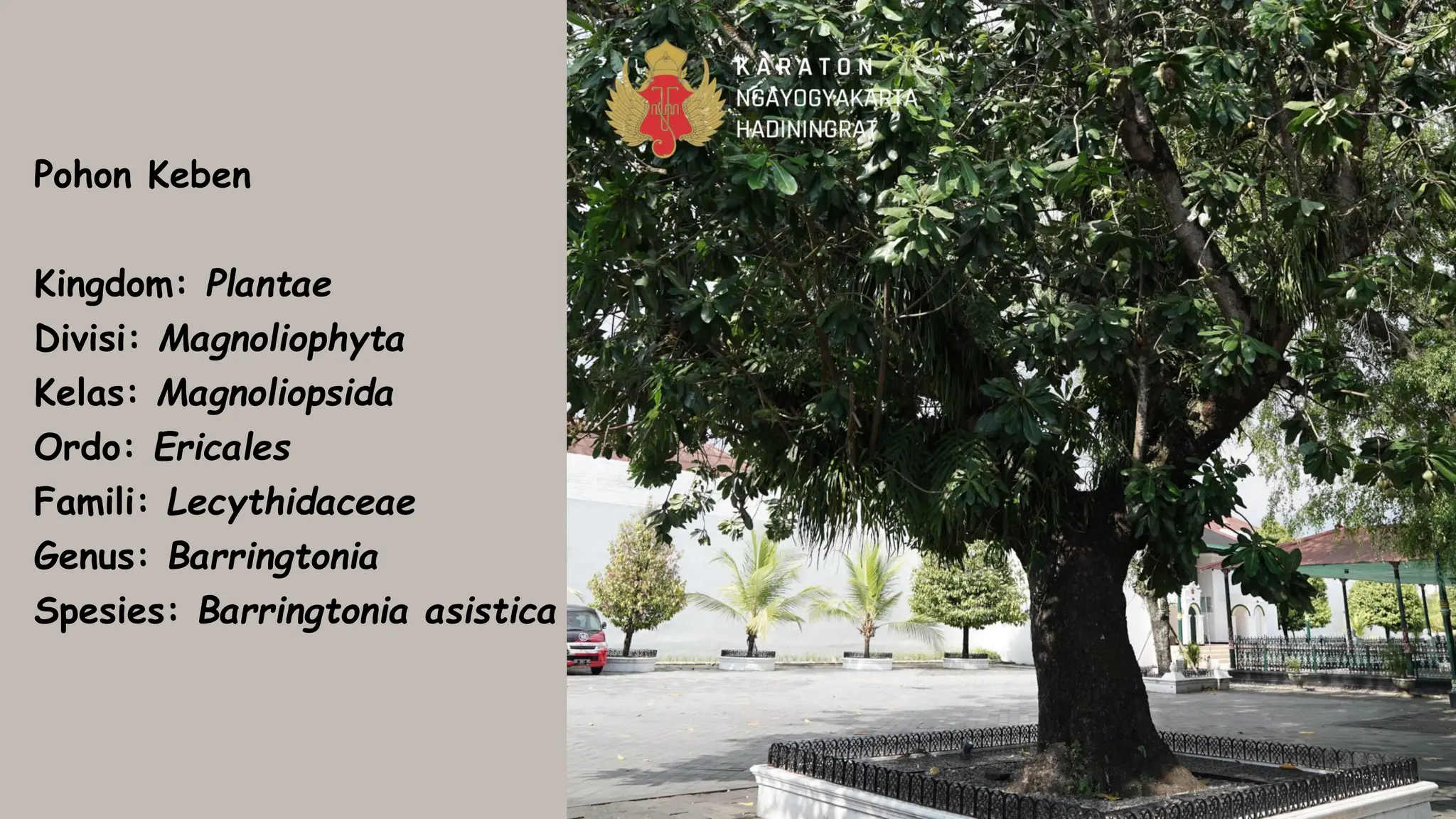 KEANEKARAGAMAN FLORA DI KERATON YOGYAKARTA.pdf