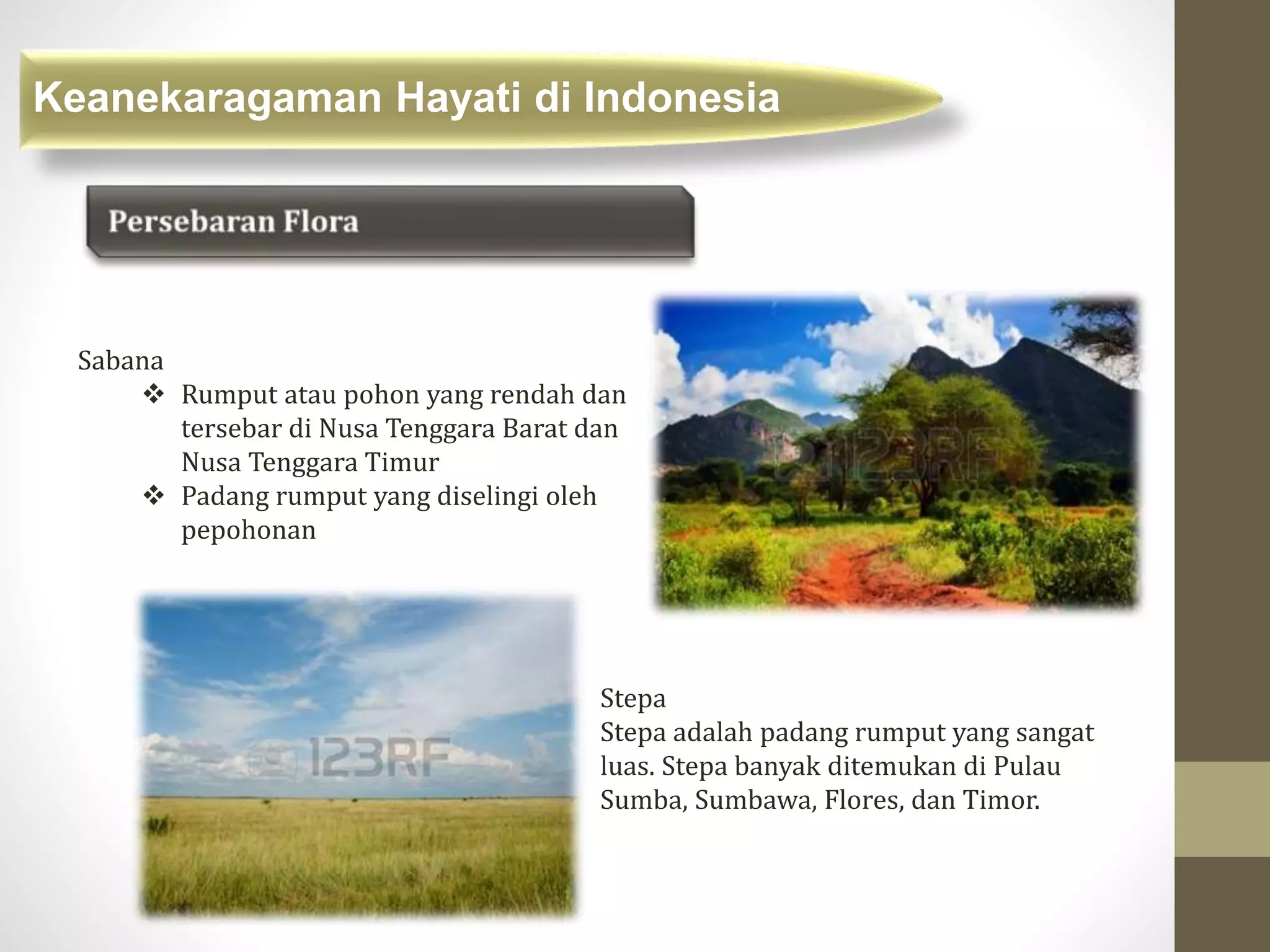 Keanekaragaman hayati | PPTX