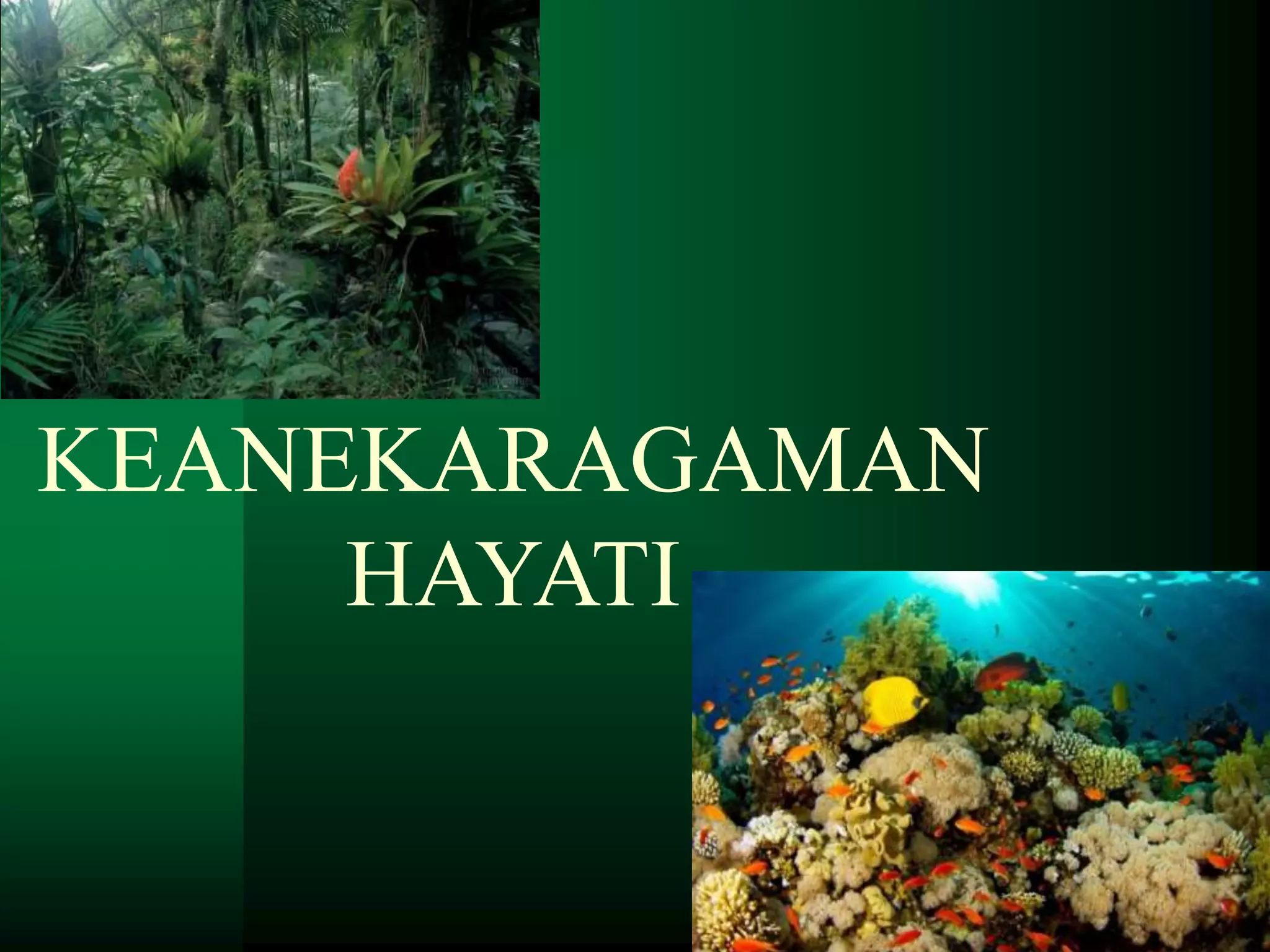 keanekaragaman hayati.ppt