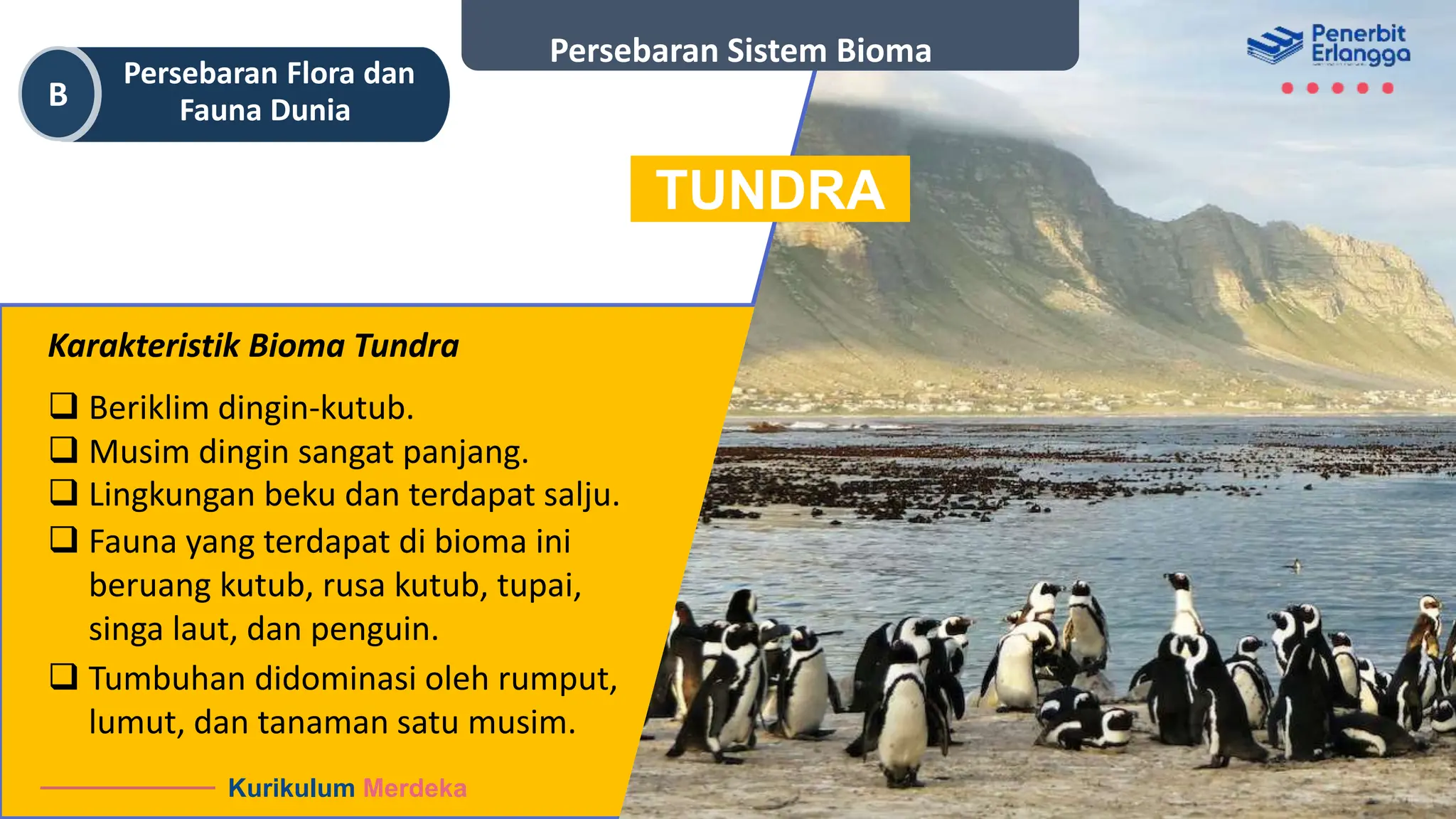 keanekaragaman flora dan fauna di ndonsesia | PPT