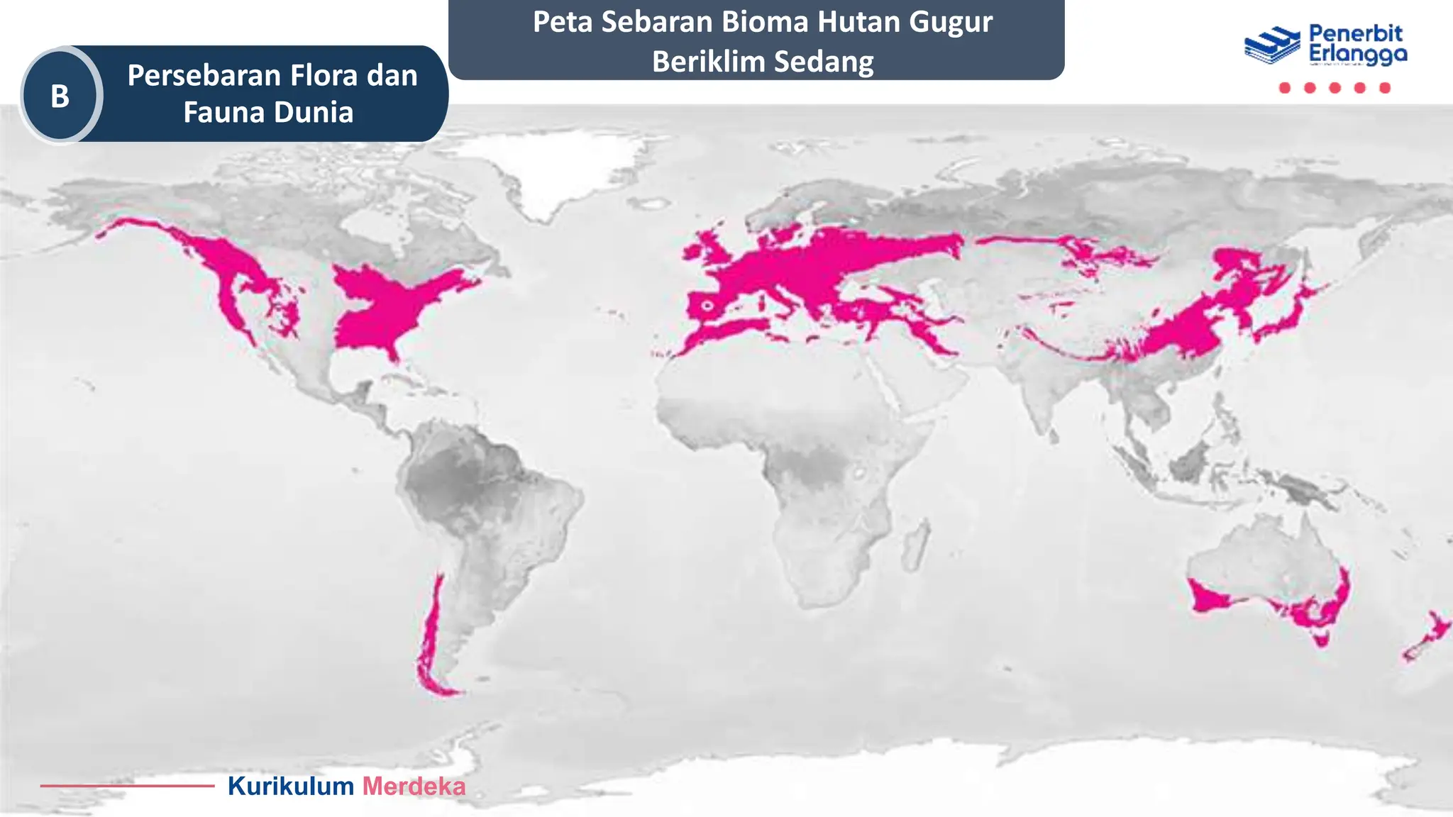 keanekaragaman flora dan fauna di ndonsesia | PPT