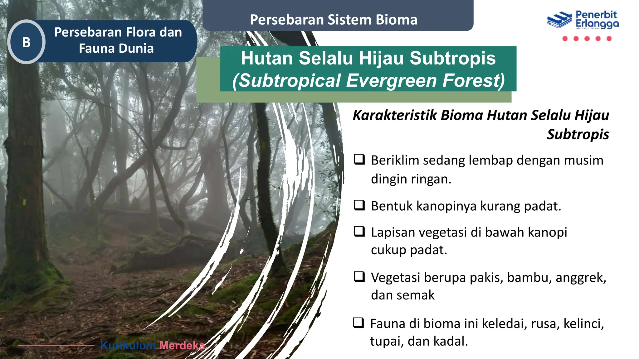 keanekaragaman flora dan fauna di ndonsesia | PPT