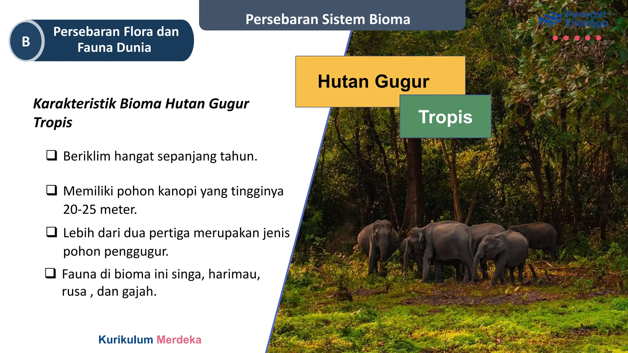 keanekaragaman flora dan fauna di ndonsesia | PPT
