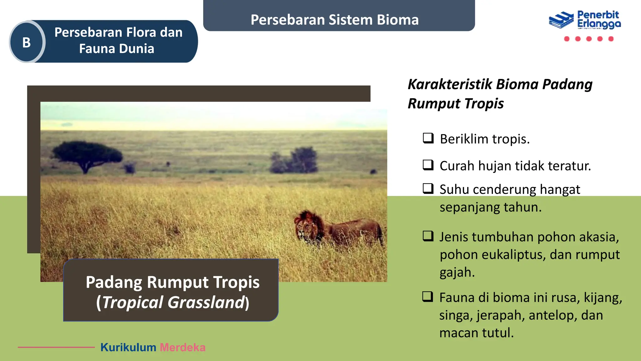 keanekaragaman flora dan fauna di ndonsesia | PPT