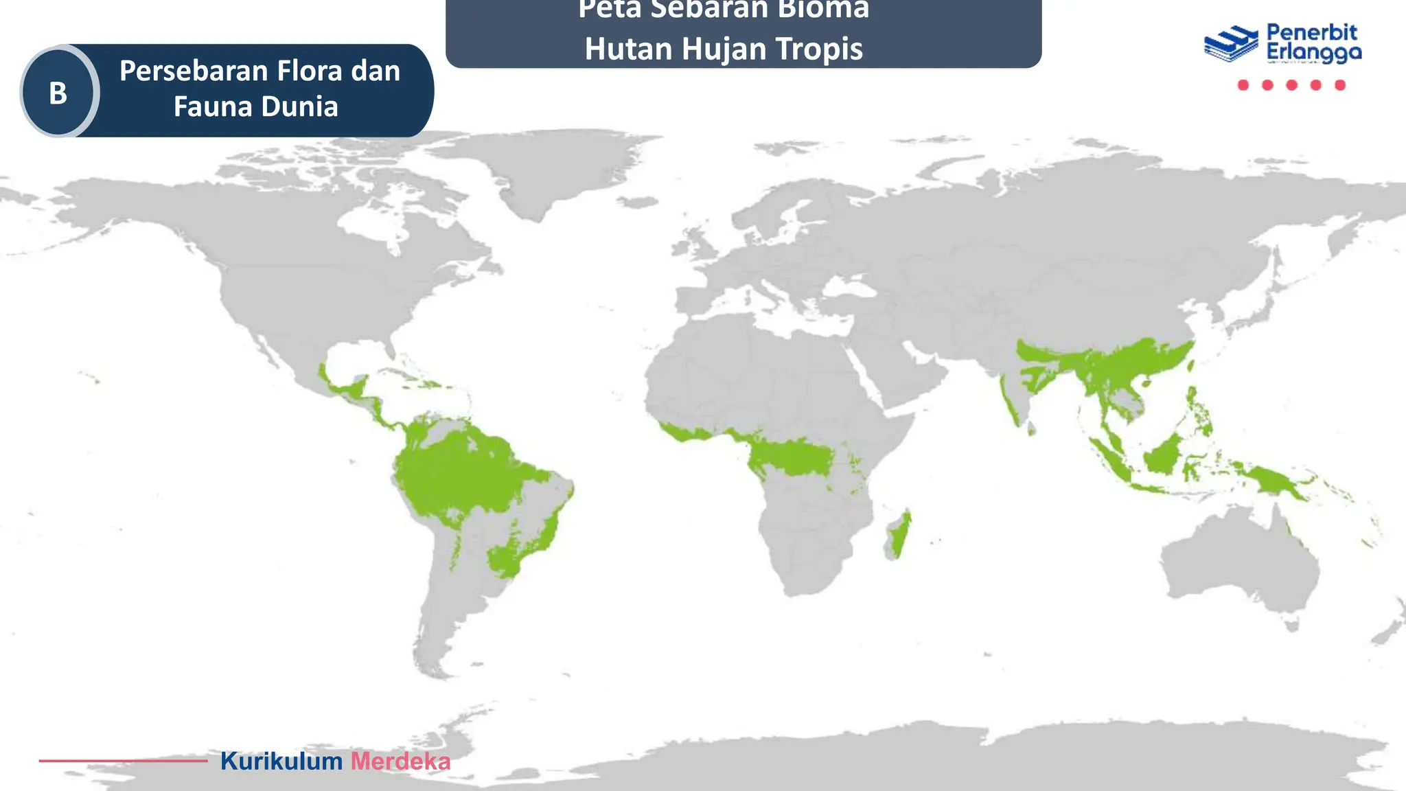 keanekaragaman flora dan fauna di ndonsesia | PPT