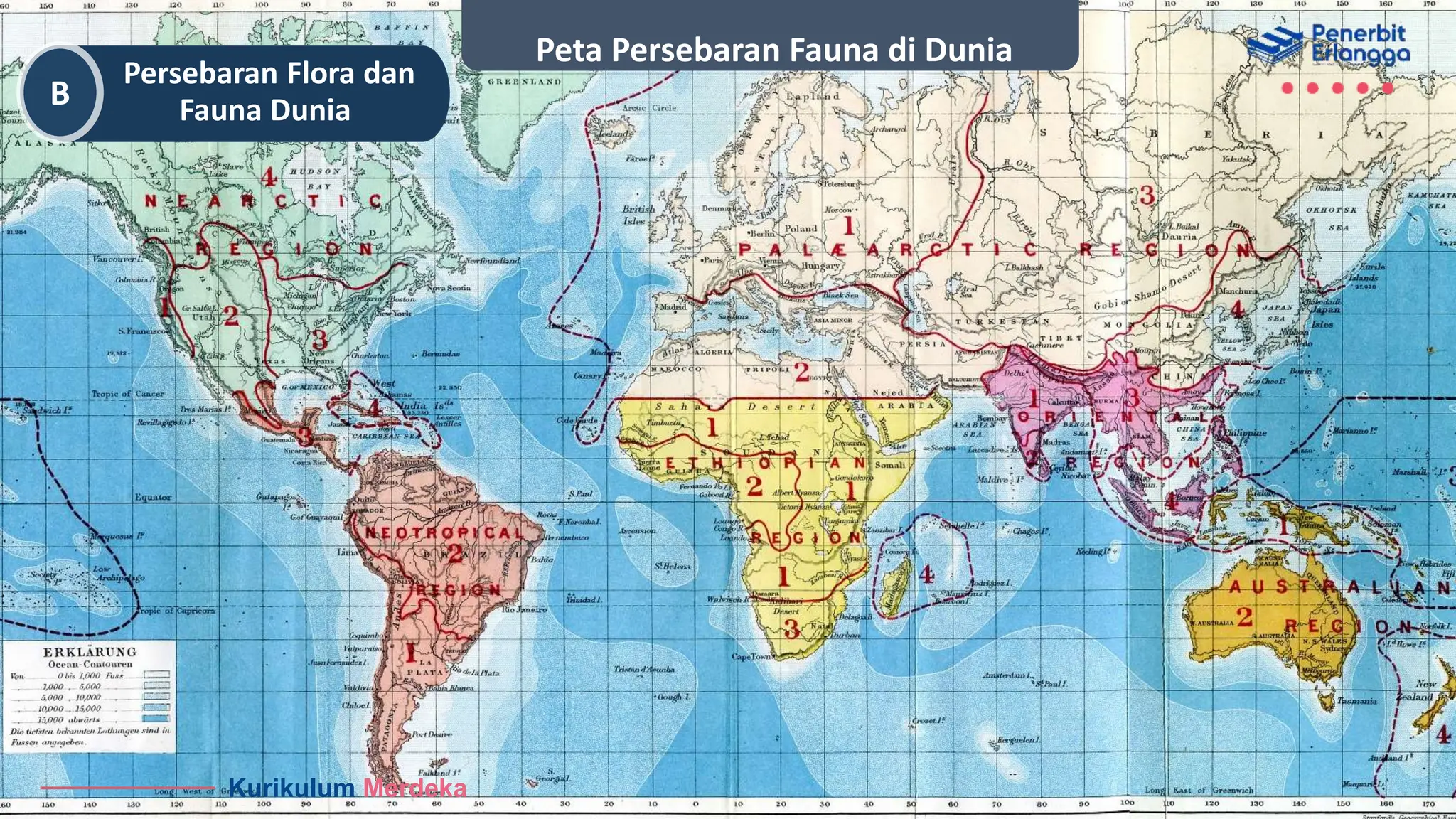 keanekaragaman flora dan fauna di ndonsesia | PPT
