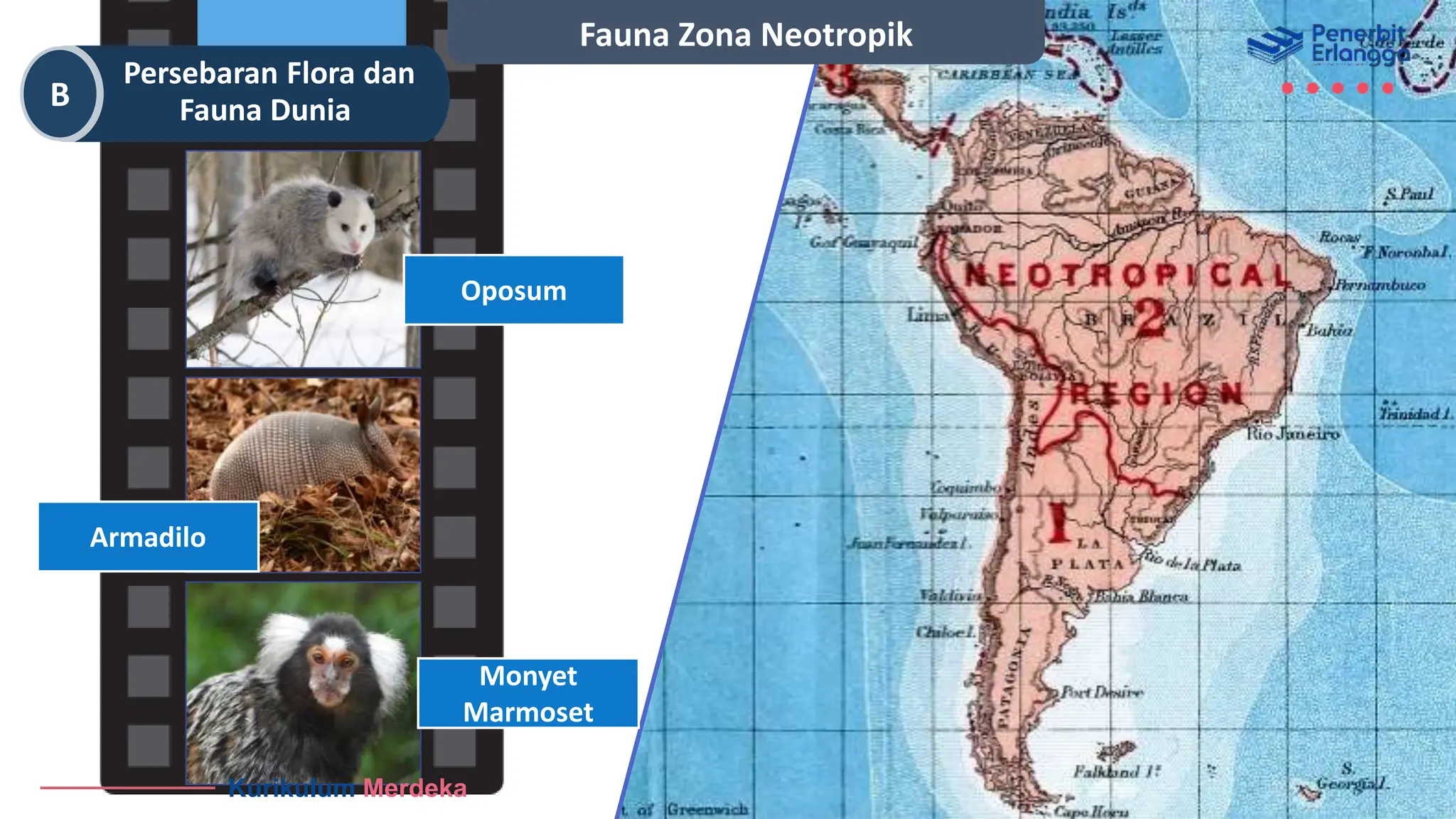 keanekaragaman flora dan fauna di ndonsesia | PPT