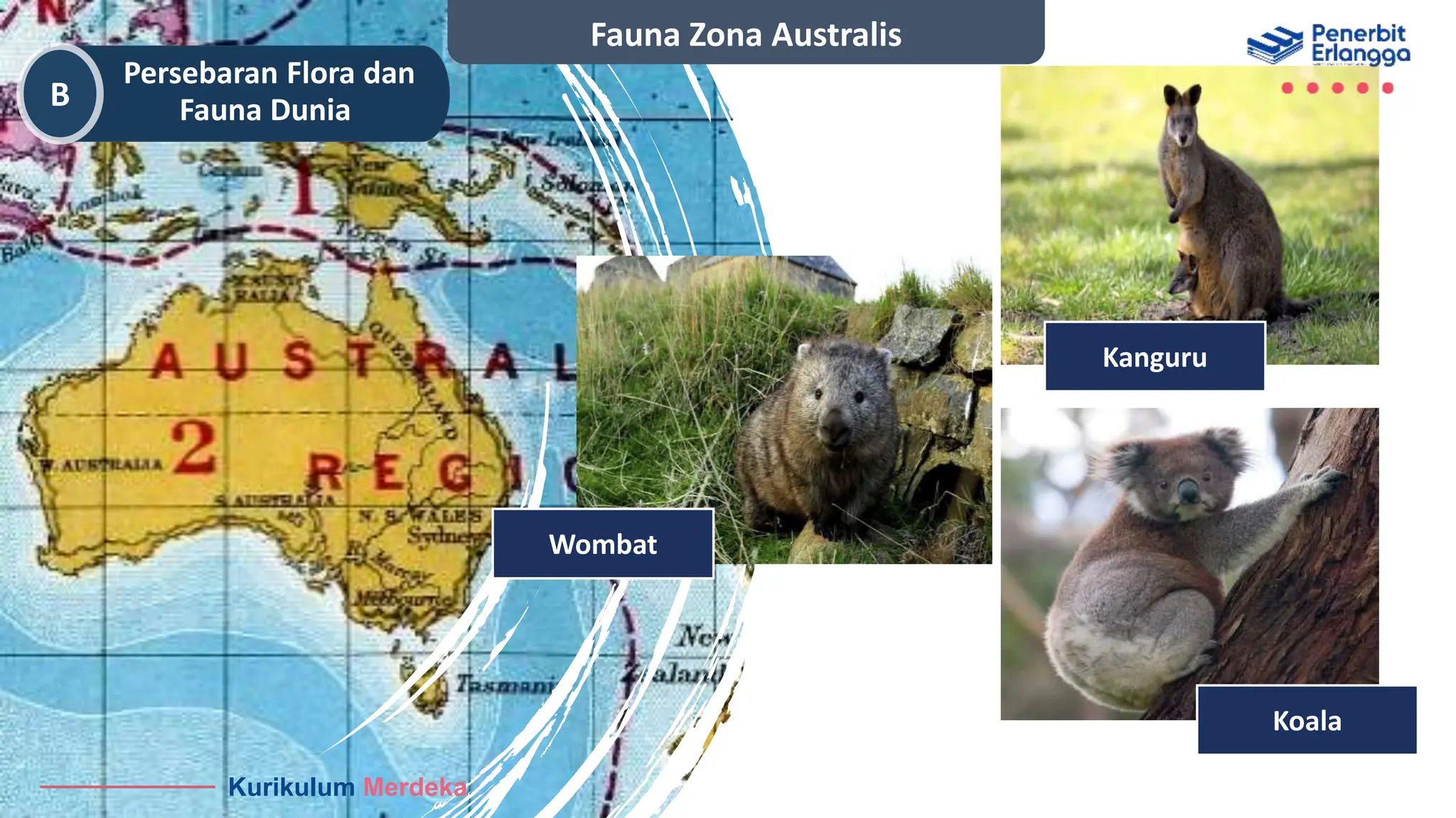 keanekaragaman flora dan fauna di ndonsesia | PPT