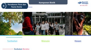 keanekaragaman flora dan fauna di ndonsesia | PPT