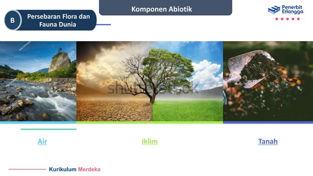 keanekaragaman flora dan fauna di ndonsesia | PPT
