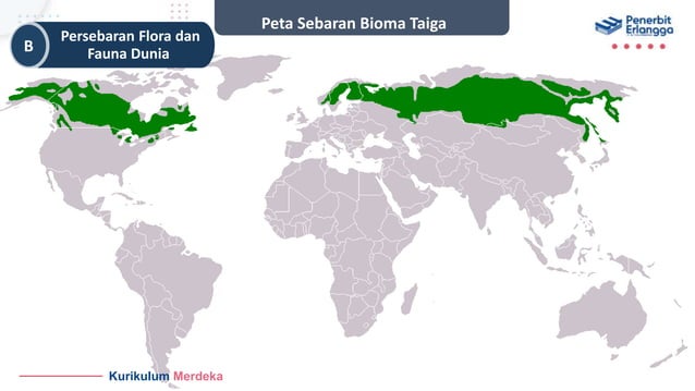 keanekaragaman flora dan fauna di ndonsesia | PPT