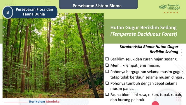keanekaragaman flora dan fauna di ndonsesia | PPT