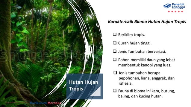 keanekaragaman flora dan fauna di ndonsesia | PPT