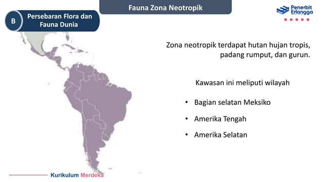keanekaragaman flora dan fauna di ndonsesia | PPT