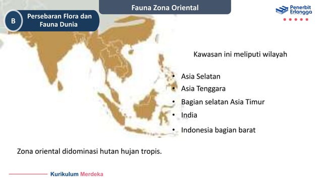 keanekaragaman flora dan fauna di ndonsesia | PPT