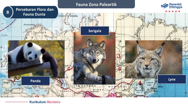 keanekaragaman flora dan fauna di ndonsesia | PPT