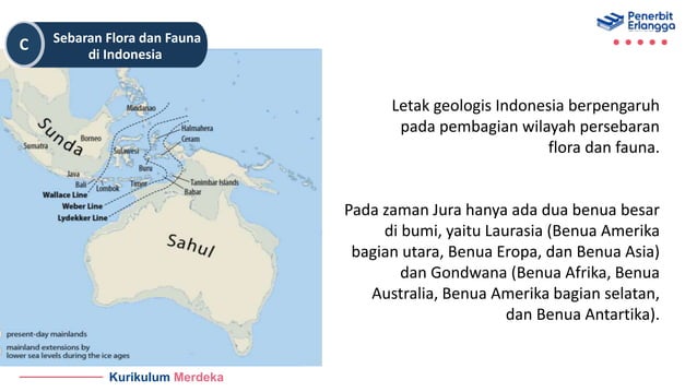 keanekaragaman flora dan fauna di ndonsesia | PPT