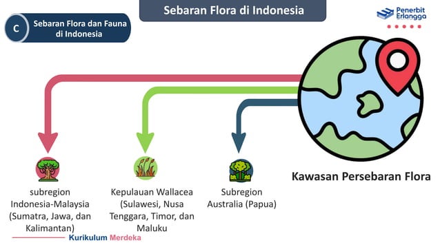keanekaragaman flora dan fauna di ndonsesia | PPT