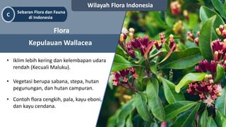 keanekaragaman flora dan fauna di ndonsesia | PPT