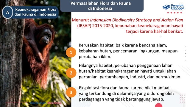 keanekaragaman flora dan fauna di ndonsesia | PPT