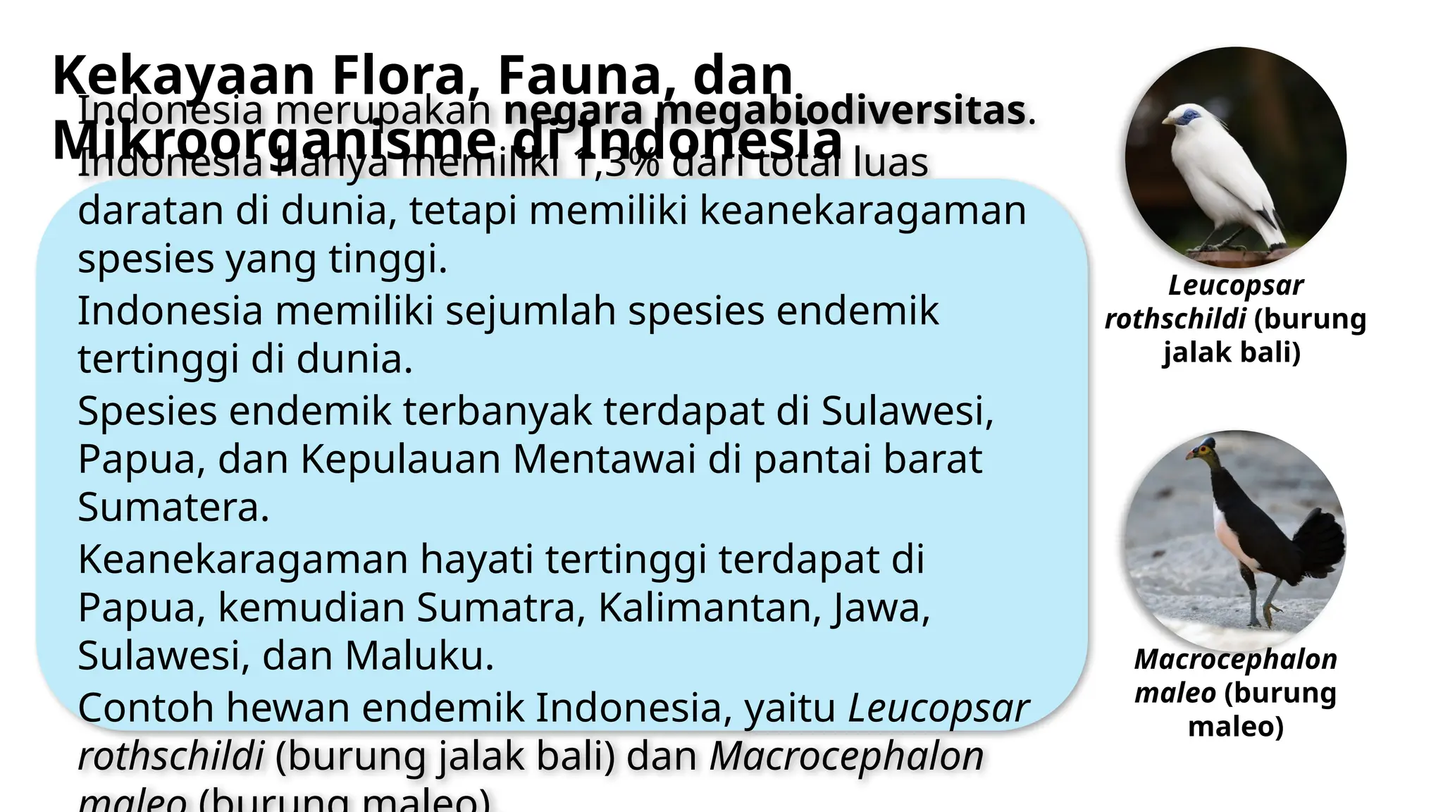 KEANEKARAGAMAN HAYATI IPA BIOLOGI KELAS X.pptx