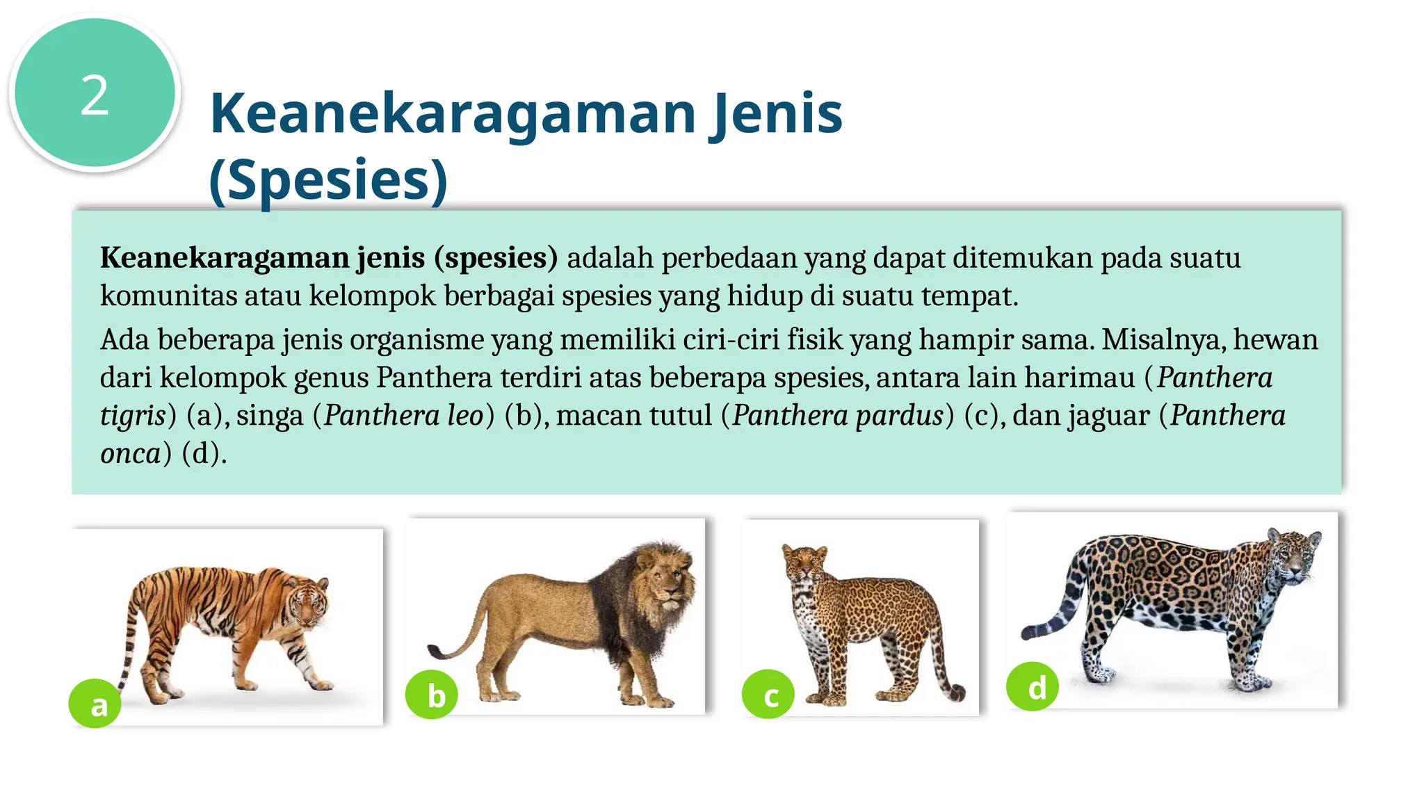KEANEKARAGAMAN HAYATI IPA BIOLOGI KELAS X.pptx