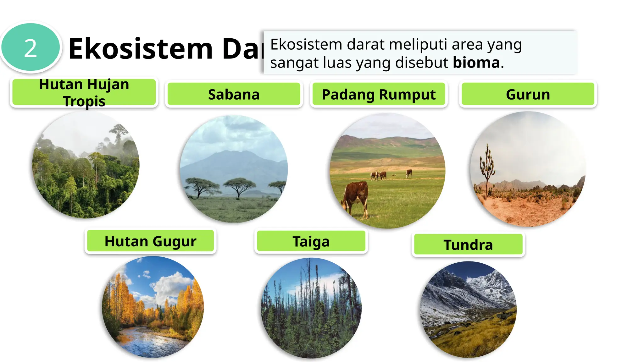 KEANEKARAGAMAN HAYATI IPA BIOLOGI KELAS X.pptx