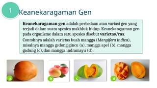 KEANEKARAGAMAN HAYATI IPA BIOLOGI KELAS X.pptx
